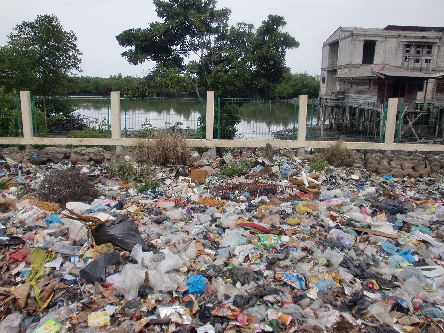 Plastikmüll im Ozean: Was biologisch abbaubare Kunststoffe zur Lösung ...